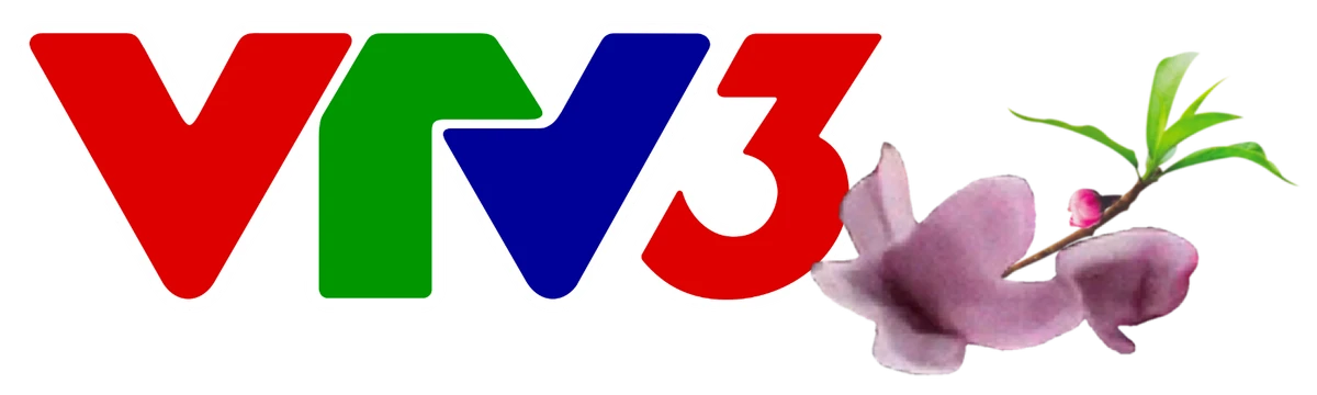 VTV3/Logo Tết | Wikia Logos | Fandom
