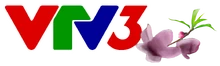 VTV3/Logo Tết | Wikia Logos | Fandom