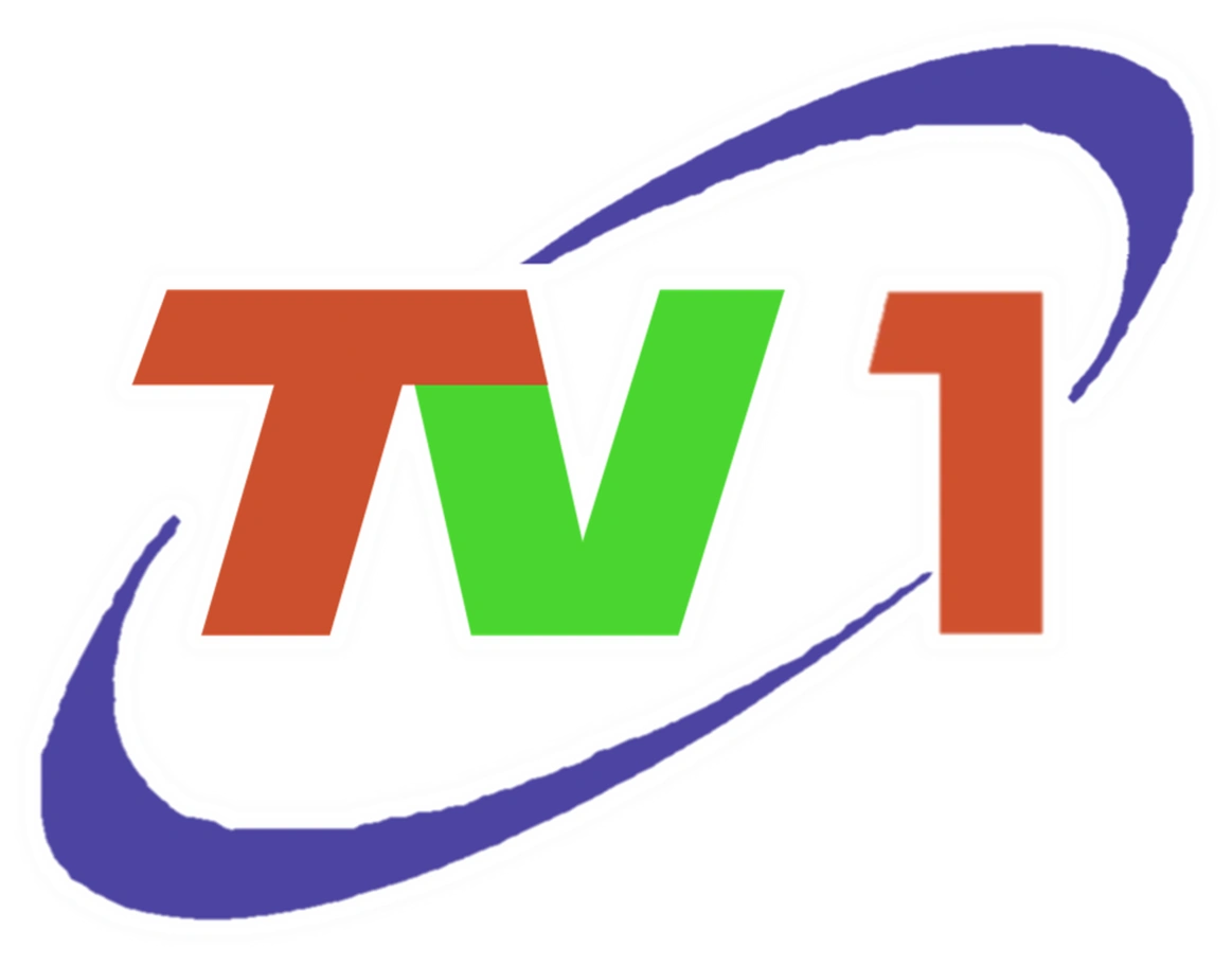 TN1 (cũ) | Wikia Logos | Fandom