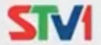 STV1 | Wikia Logos | Fandom