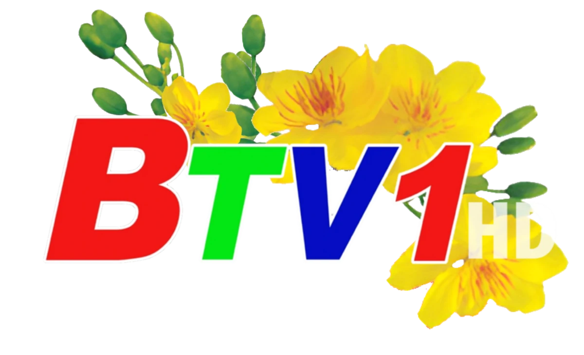 BTV1 HD/Logo Tết | Wikia Logos | Fandom