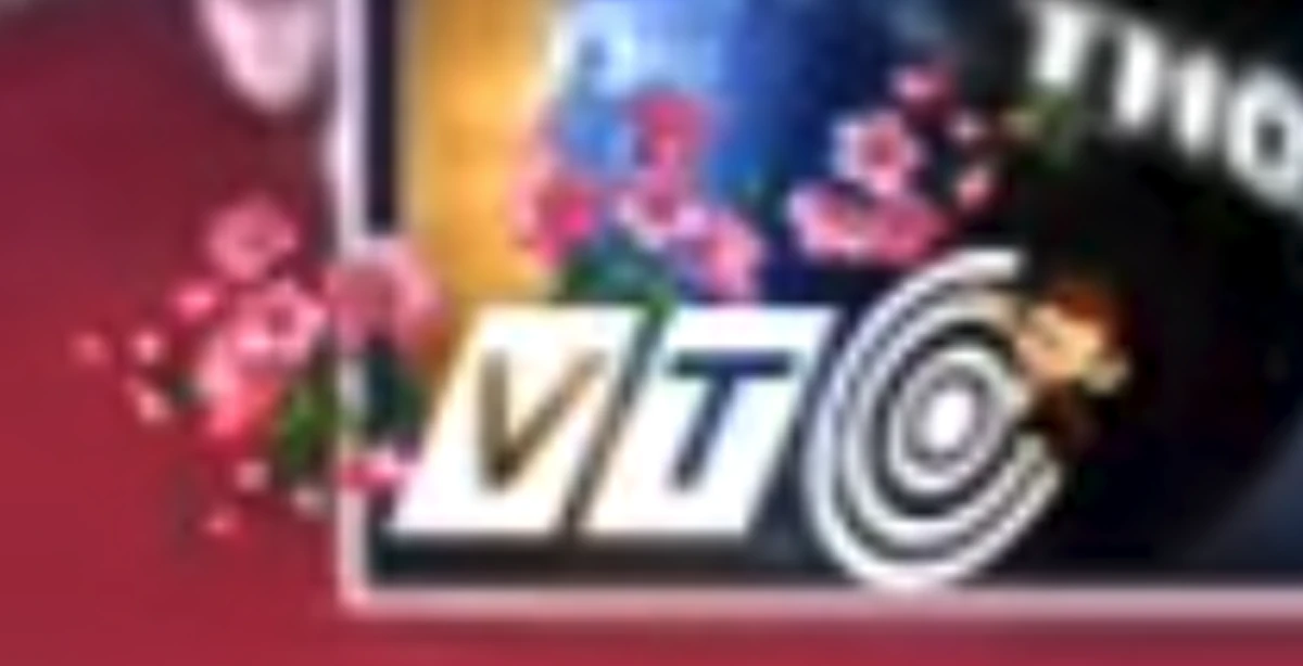 VTC Digital/Logo Tết | Wikia Logos | Fandom