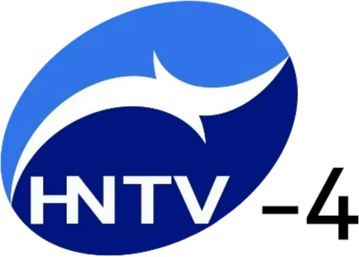 海南卫视 | Wikia Logos | Fandom