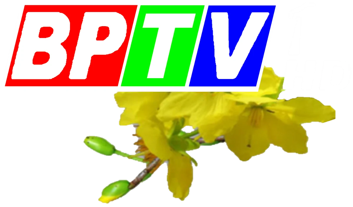 BPTV1 HD/Logo Tết | Wikia Logos | Fandom