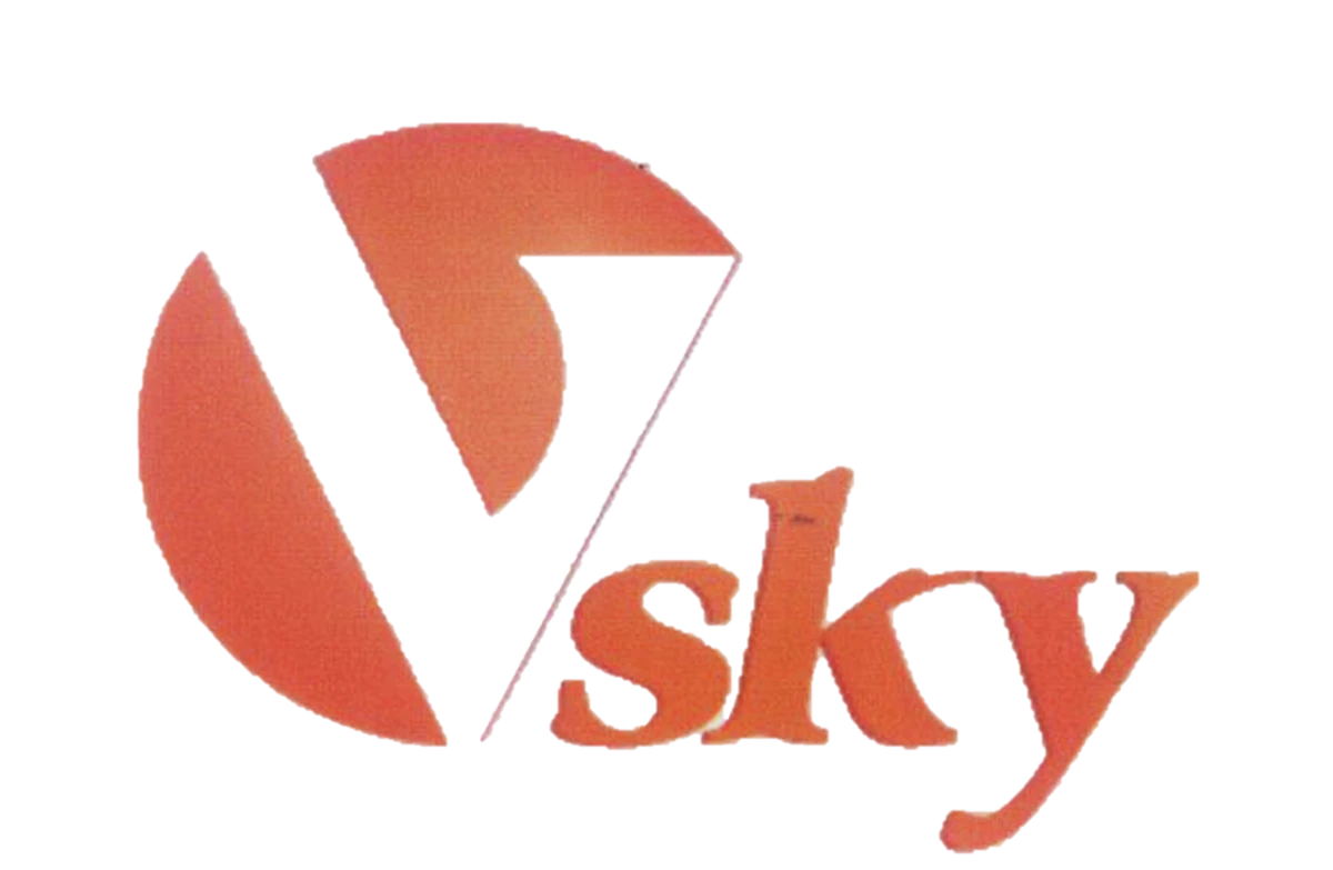 VSky | Wikia Logos | Fandom