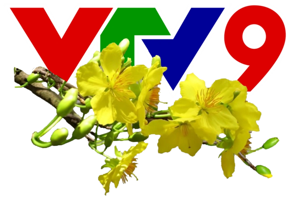 VTVcab - VTV9/Logo Tết | Wikia Logos | Fandom