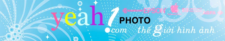 Yeah1.com | Wikia Logos | Fandom