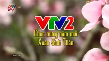 VTV2/Ident Tết | Wikia Logos | Fandom