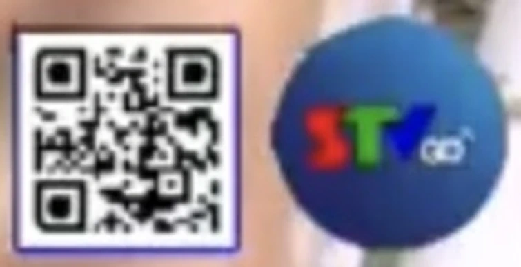 STVgo QR | Wikia Logos | Fandom