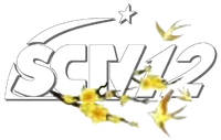 SCTV12/Logo Tết | Wikia Logos | Fandom