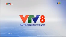 VTV8/Other | Wikia Logos | Fandom