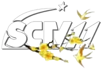 SCTV11 - TV STAR/Logo Tết | Wikia Logos | Fandom