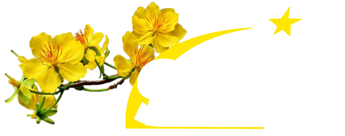 SCTV7/Logo Tết | Wikia Logos | Fandom