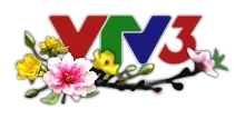 VTV3/Logo Tết | Wikia Logos | Fandom