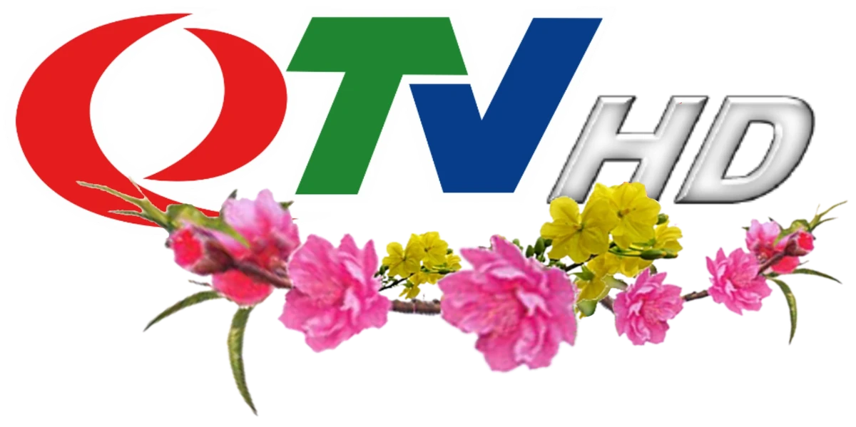 QTV HD/Logo Tết | Wikia Logos | Fandom