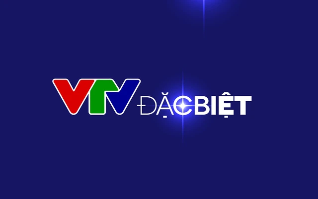 VTV Đặc biệt | Wikia Logos | Fandom
