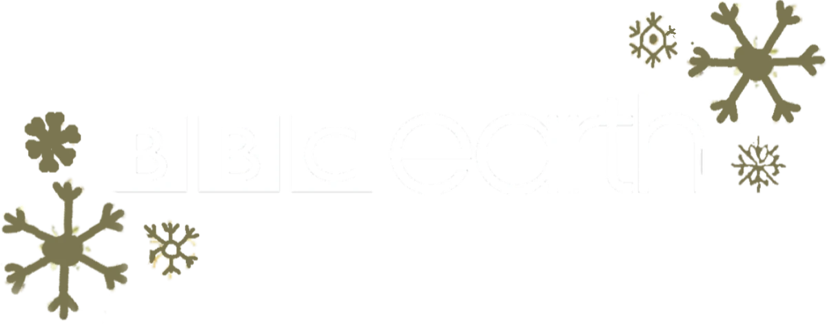 BBC Earth/Logo Giáng sinh | Wikia Logos | Fandom