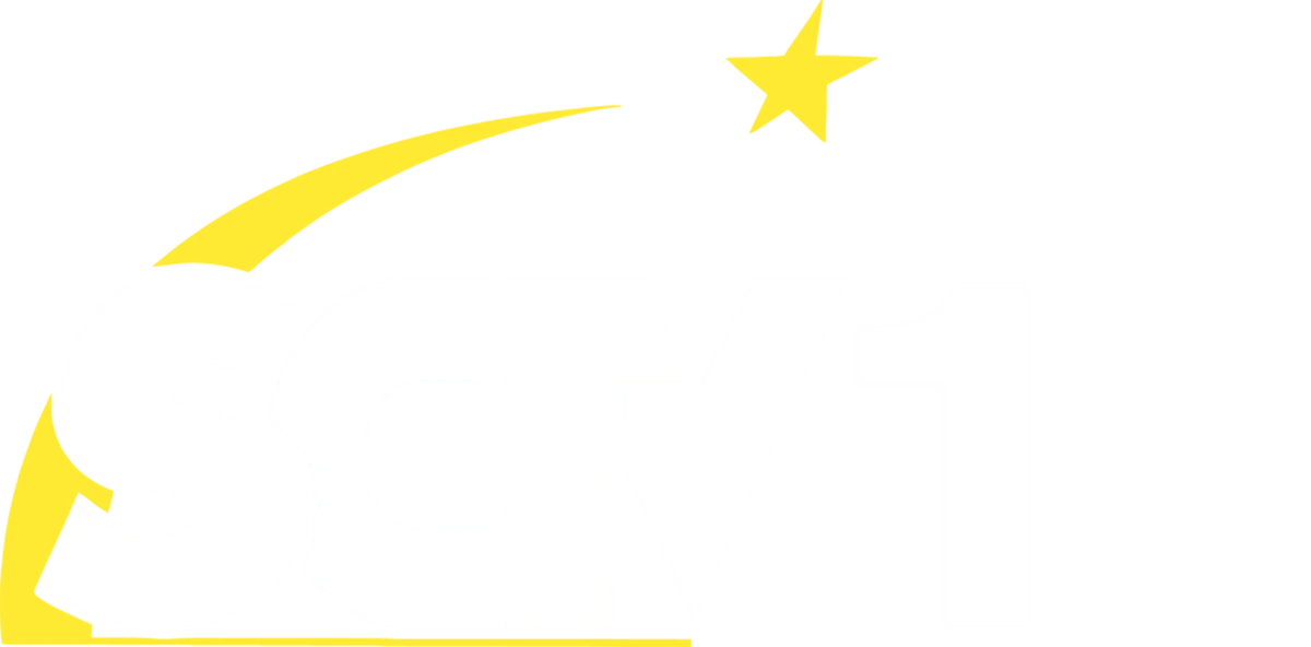 SCTV16 (cũ) | Wikia Logos | Fandom