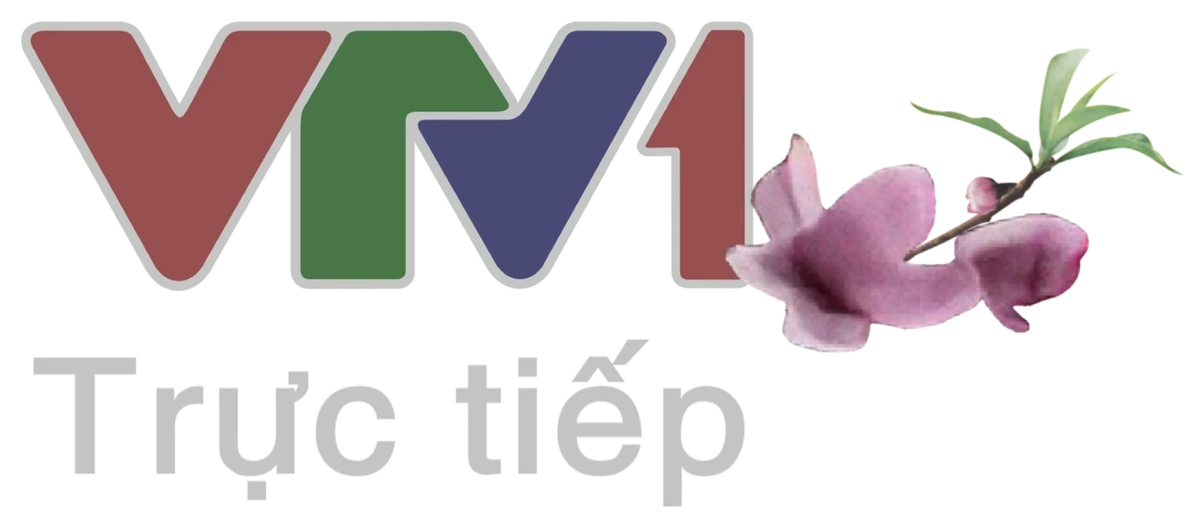 VTV1/Logo Tết Trực tiếp | Wikia Logos | Fandom