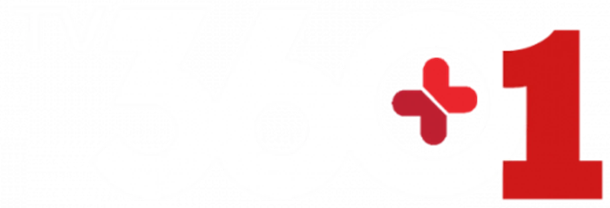 TV360+1 | Wikia Logos | Fandom