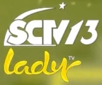 SCTV13 | Wikia Logos | Fandom