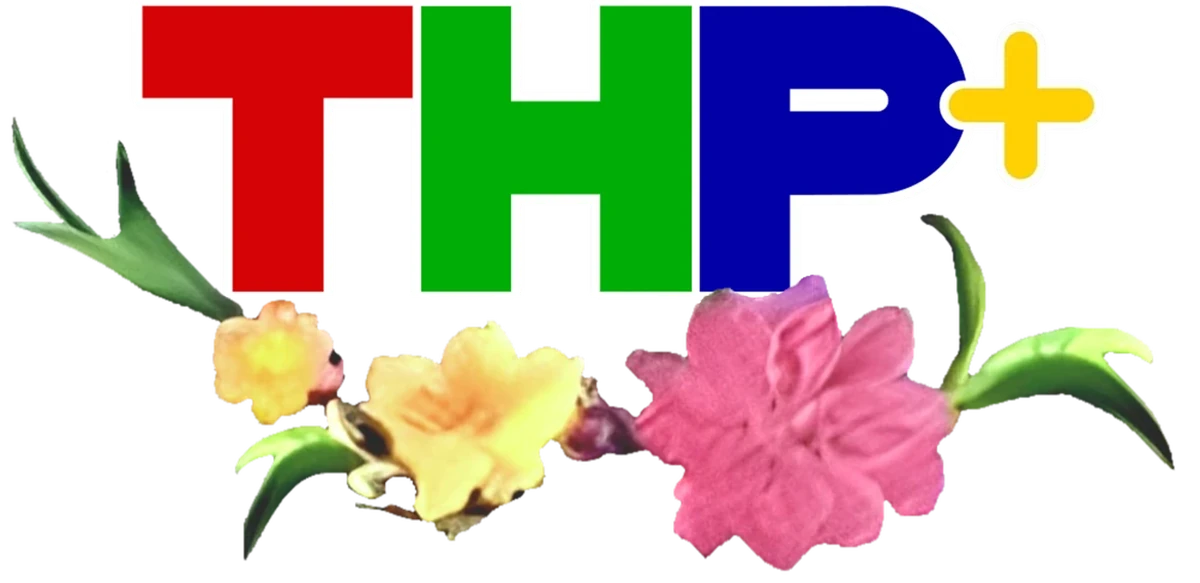 THP+/Logo Tết | Wikia Logos | Fandom