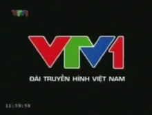 VTV1/Other | Wikia Logos | Fandom