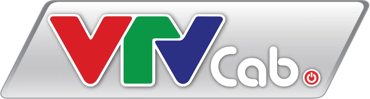 VTVcab/Other | Wikia Logos | Fandom