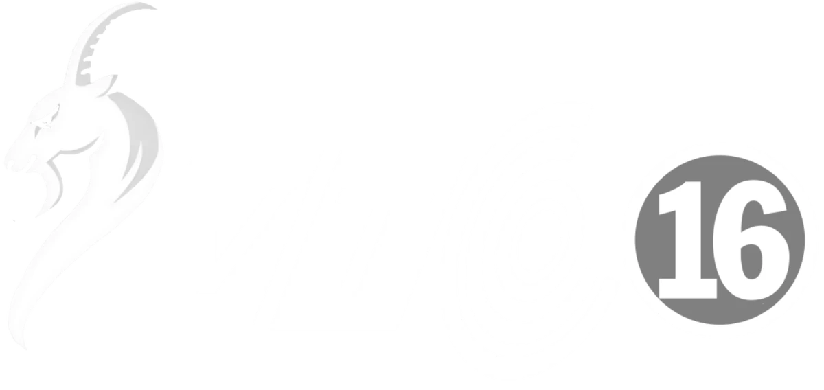 VTC16/Logo Tết | Wikia Logos | Fandom