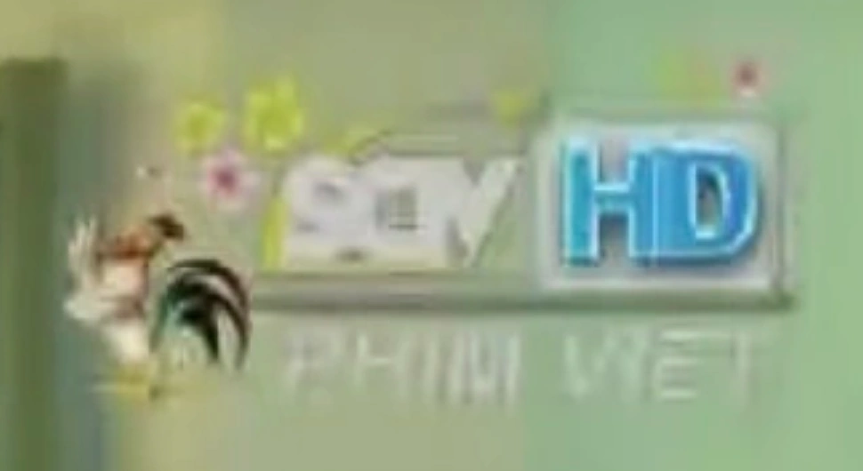 SCTV14 HD/Logo Tết | Wikia Logos | Fandom