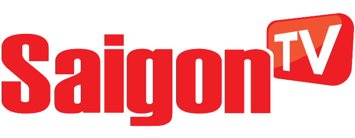Saigon TV | Wikia Logos | Fandom