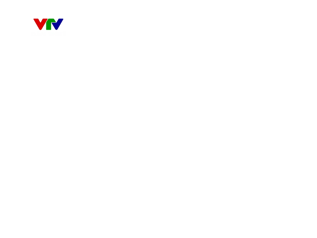 VTV Cần Thơ (kênh khu vực)/Screenbug | Wikia Logos | Fandom