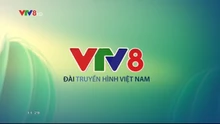 VTV8/Other | Wikia Logos | Fandom