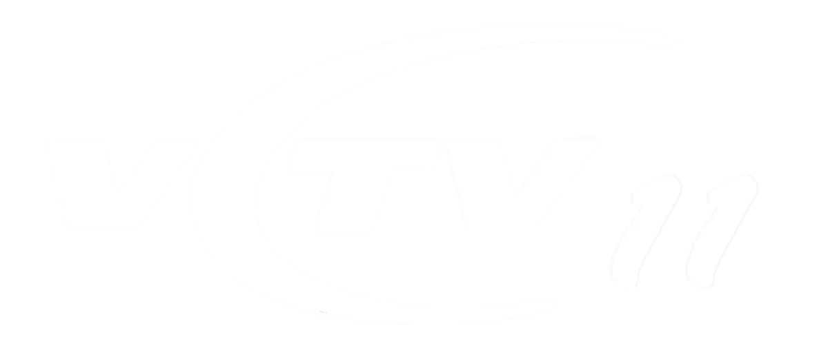 VTVcab 11 | Wikia Logos | Fandom