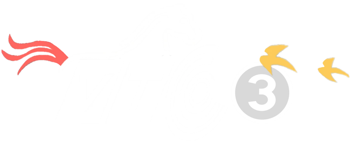 VTC3/Logo Tết | Wikia Logos | Fandom