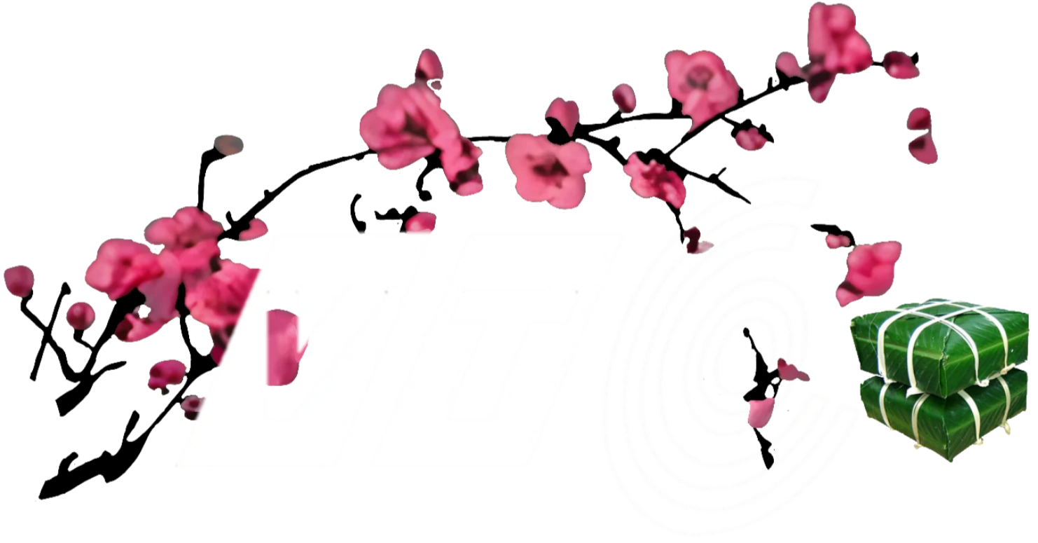 Đài Truyền hình Kỹ thuật số VTC/Logo Tết | Wikia Logos | Fandom