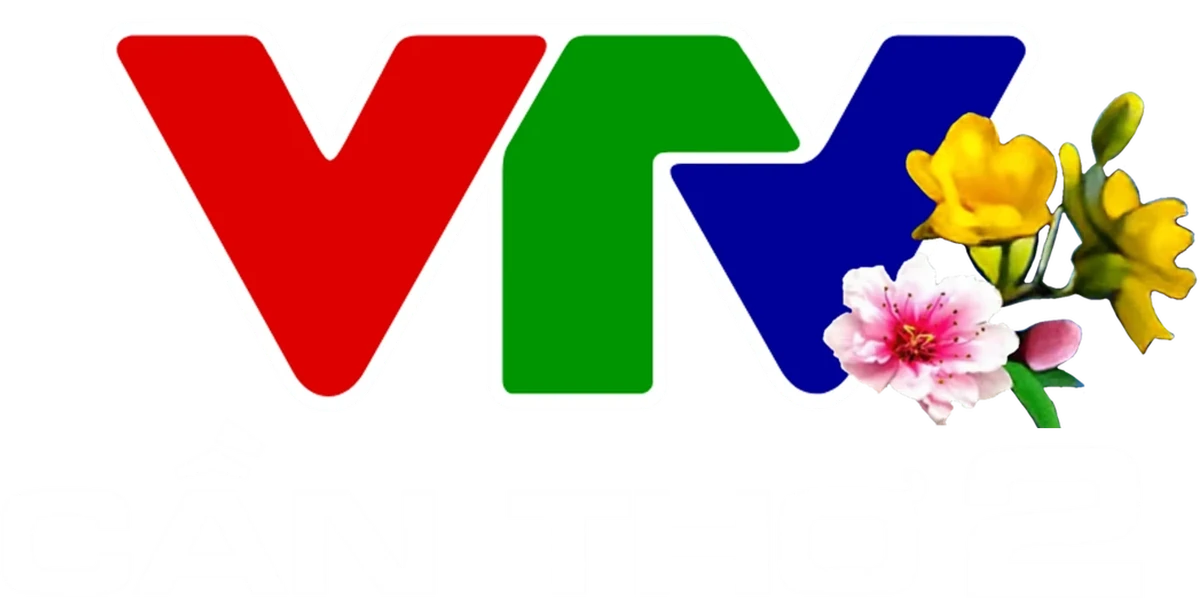 VTV Cần Thơ 2/Logo Tết | Wikia Logos | Fandom