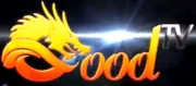 Good TV | Wikia Logos | Fandom