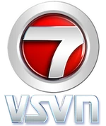 VSVN | Logofanonpedia | Fandom