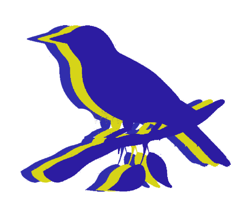 National Independent Party of Novalia | Logofanonpedia | Fandom