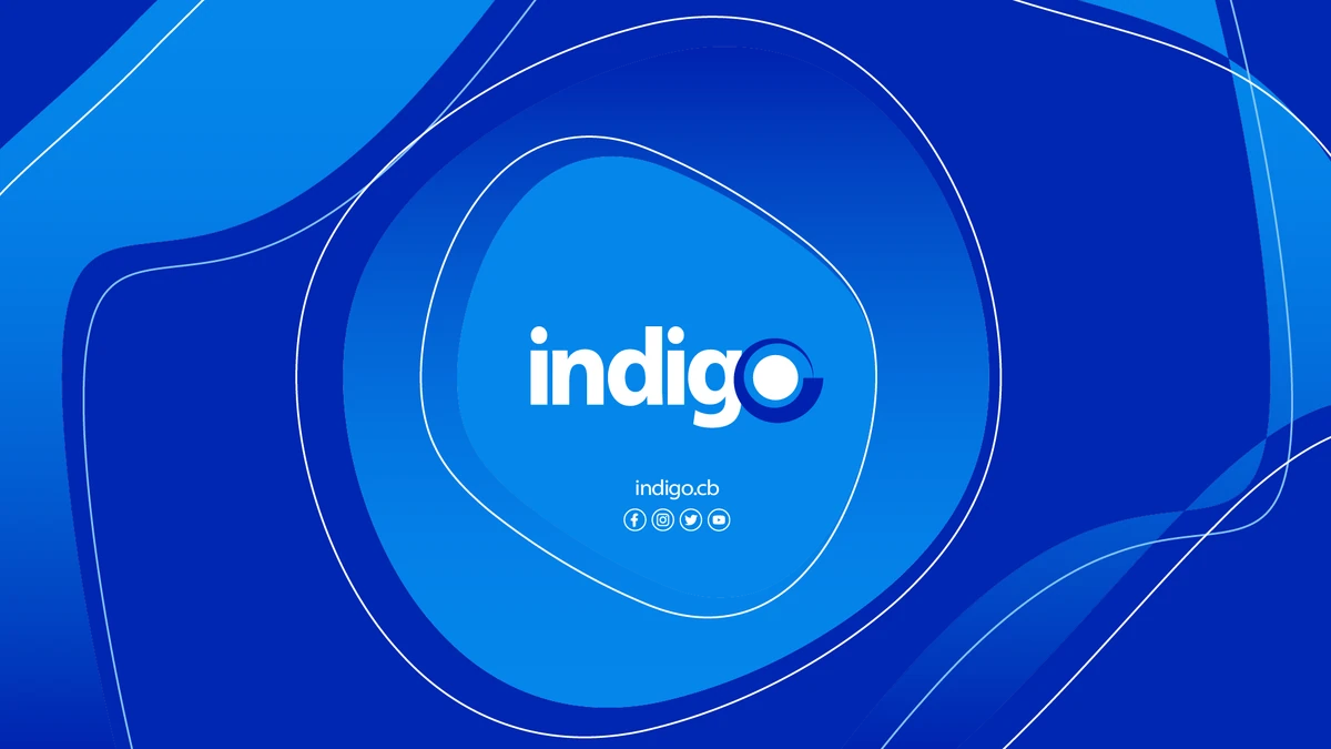 Indigo | Logofanonpedia | Fandom