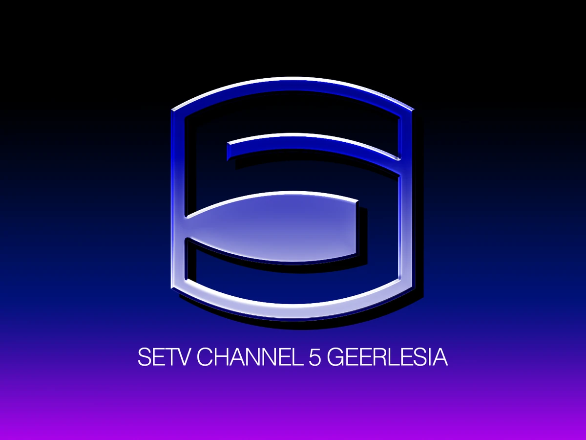 SETV-DT | Logofanonpedia | Fandom