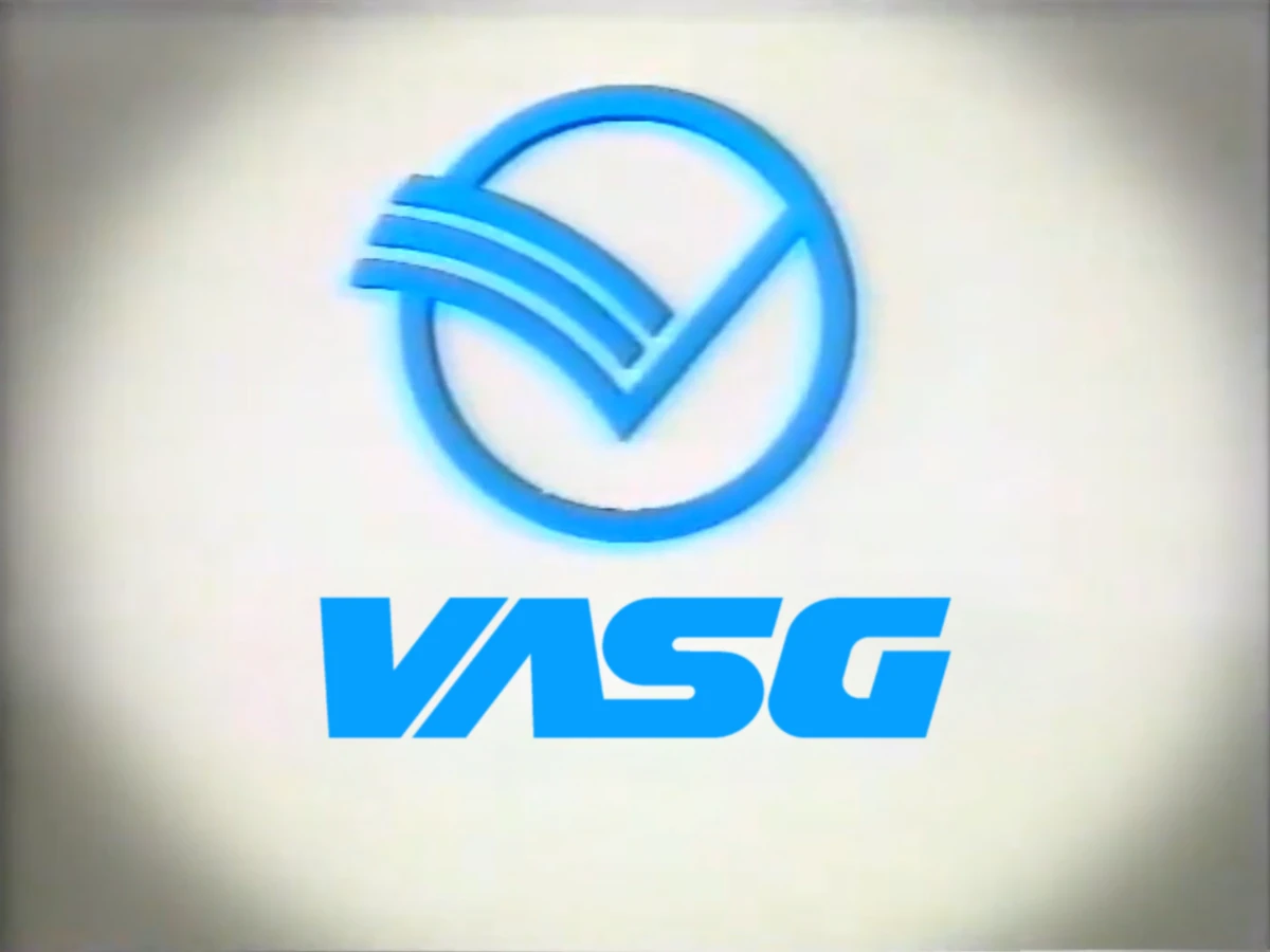 Viação Aérea São Gonçalo | Logofanonpedia | Fandom