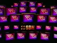 SBN Television | Logofanonpedia | Fandom