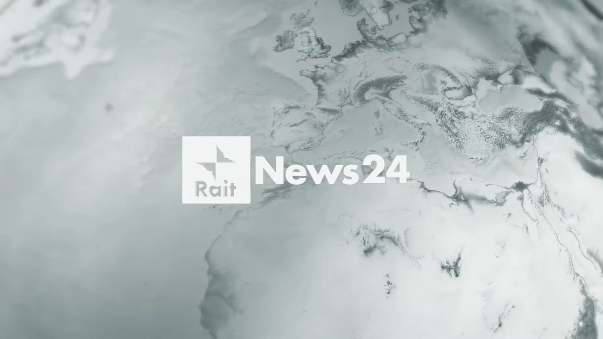 Rait News24 | Logofanonpedia | Fandom