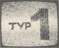 TVP1 | Logofanonpedia | Fandom
