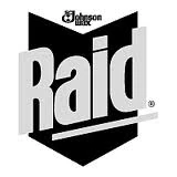 Raid (Jetania) | Logofanonpedia | Fandom
