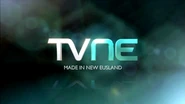 Television New Eusland | Logofanonpedia | Fandom