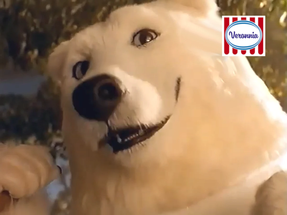 Veronnia | Logofanonpedia | Fandom