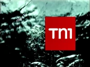 TN (Talcian TV channel) | Logofanonpedia | Fandom